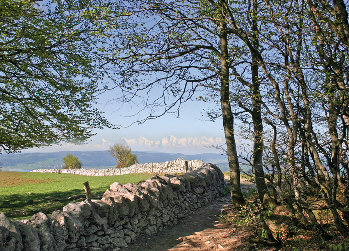 Ferme-Restaurant du Soliat