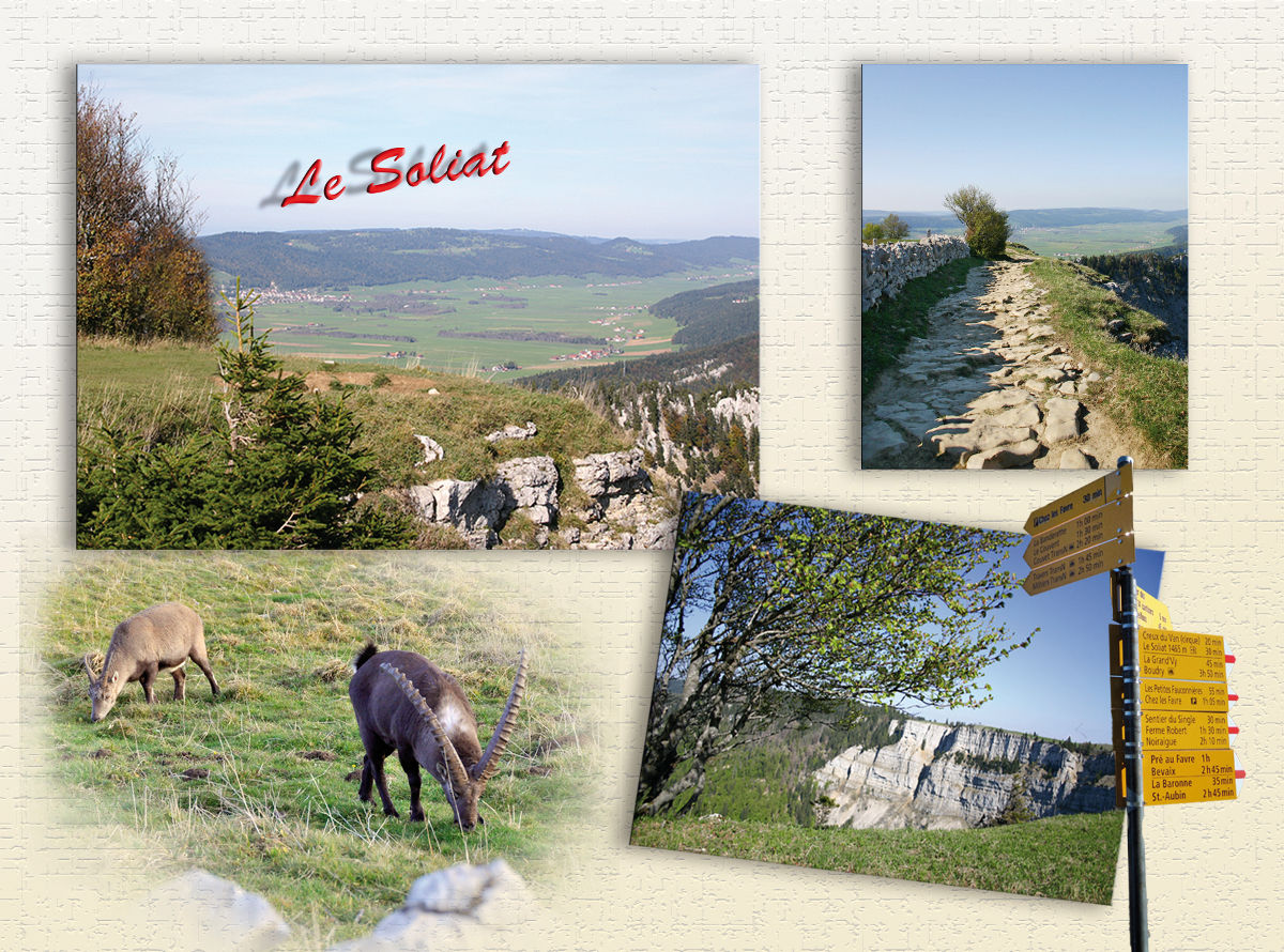 Ferme-Restaurant du Soliat