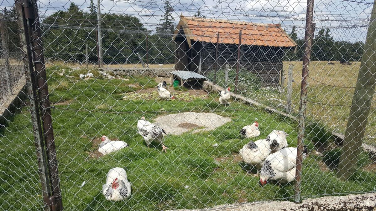 Ferme-Restaurant du Soliat