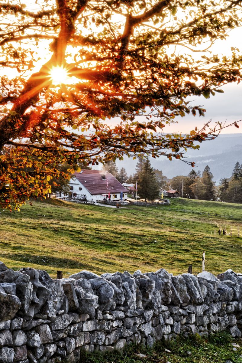 Ferme-Restaurant du Soliat